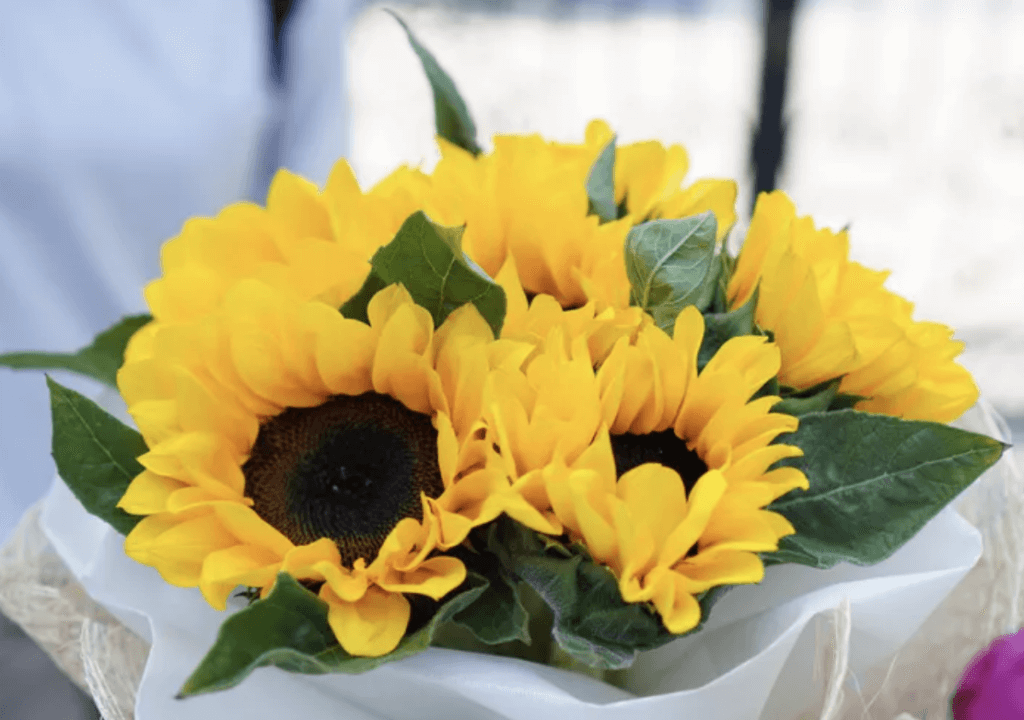Flower Meanings: Discover Your Floral Personality - Feral Rose Floral ...
